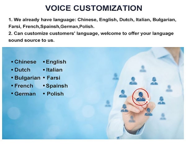Understanding the Basics of Talking Scales: A Comprehensive Guide ...